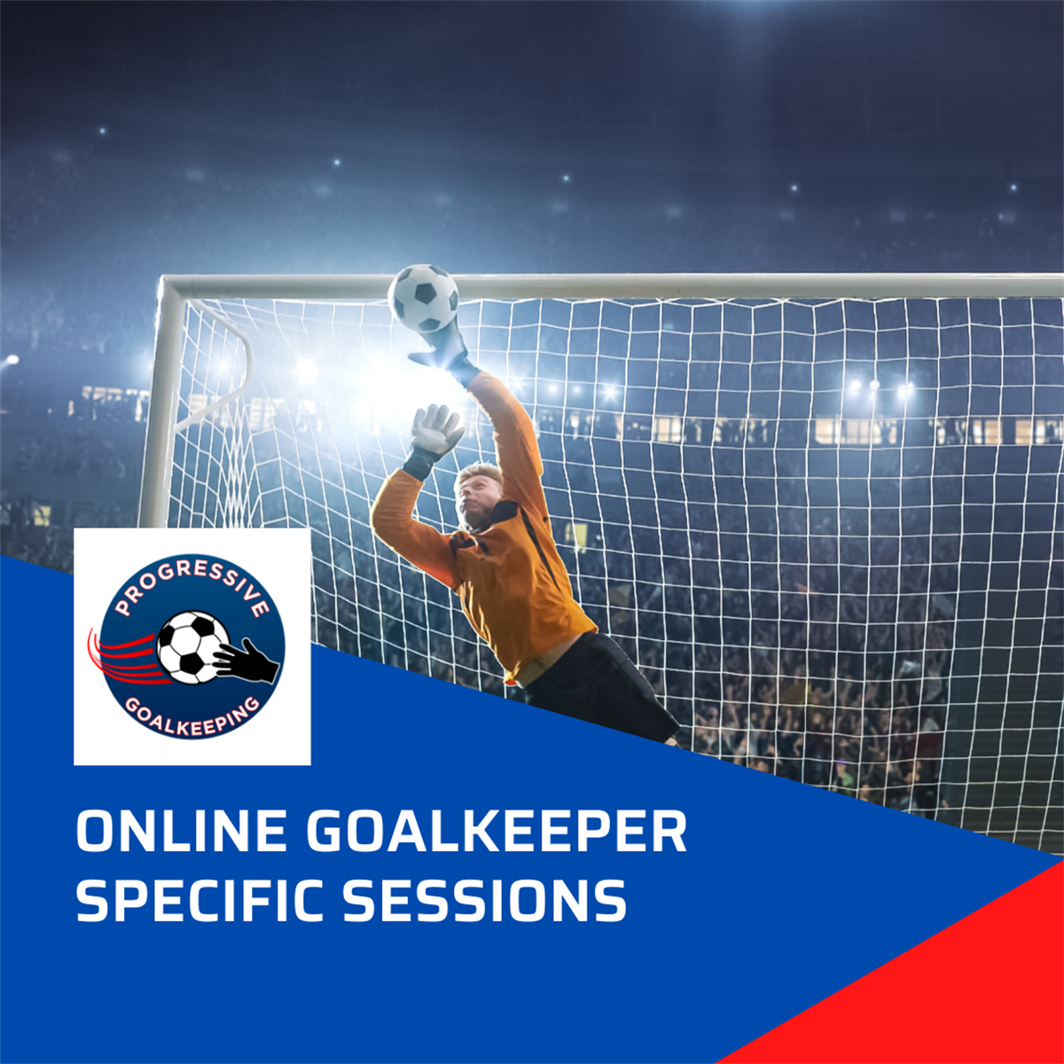 Online Goalkeeper Specific Sessions | Blacktown International Sports ...